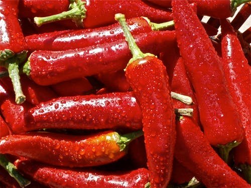 Things That Are Red in Nature