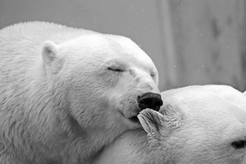 Things That Are Cold