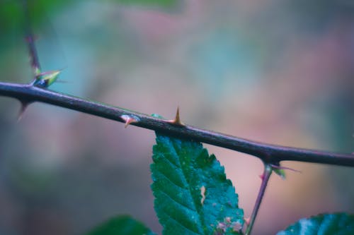 Things That Are Sharp