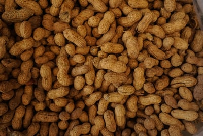 Things That Are Crunchy