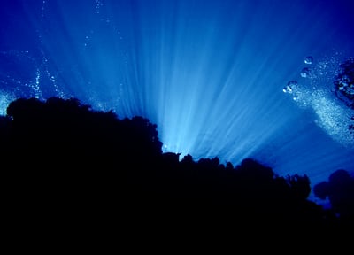 Things That Are Bright