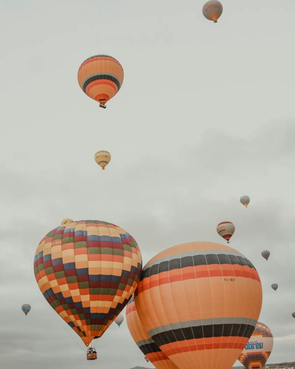 Things That Fly